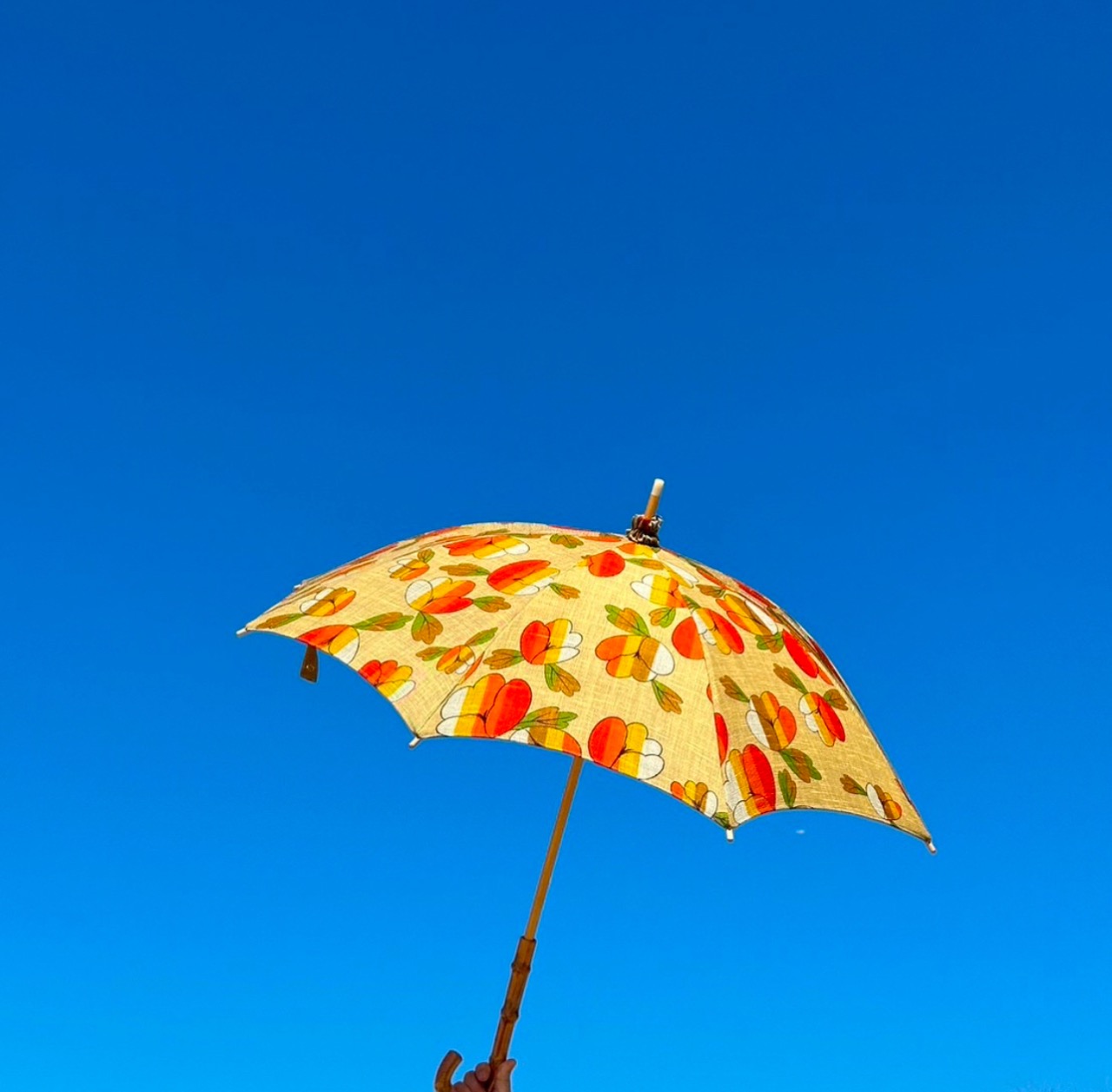 傘Sun陽傘 | 団体紹介 | 福岡市民の祭り 博多どんたく港まつり モバイルどんたく（モバどん）